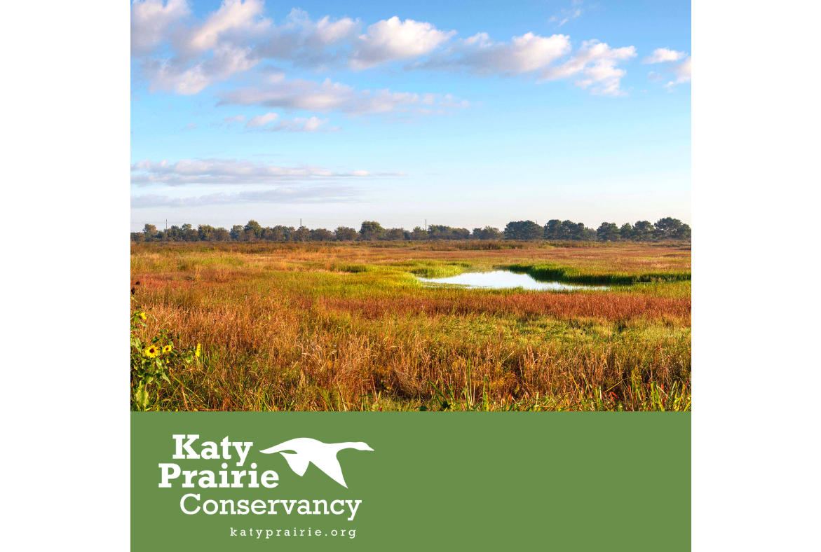 KATY PRAIRIE CONSERVANCY Houston Volunteer Opportunities ⋆ Serve for Good