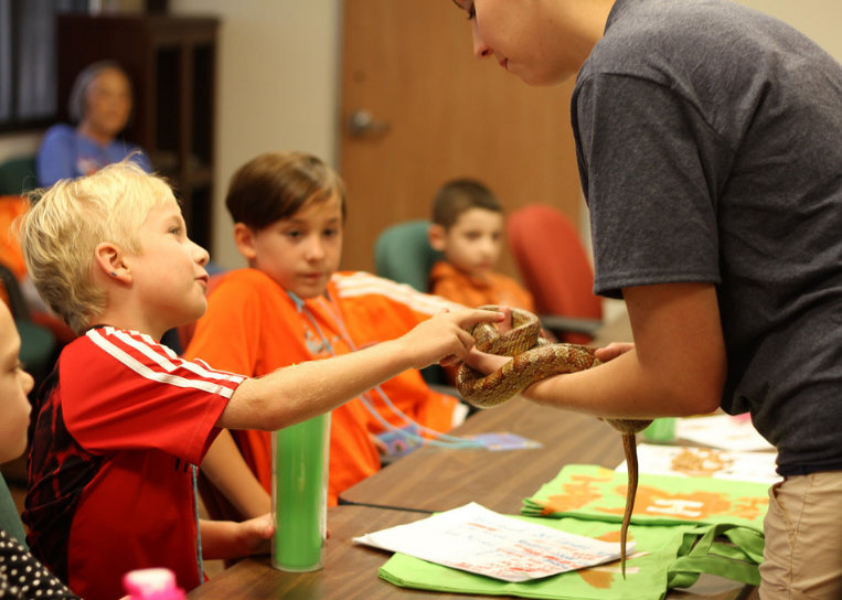 TWRC WILDLIFE CENTER Houston Volunteer Opportunities ⋆ Serve for Good